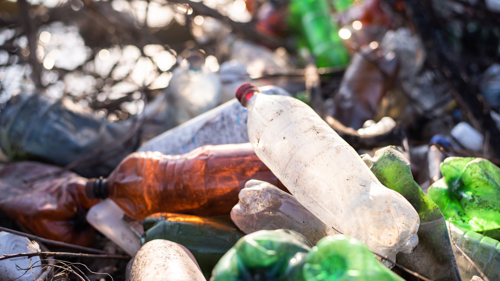 Coke and Pepsi: The Bubbling Villains Behind Plastic Pollution