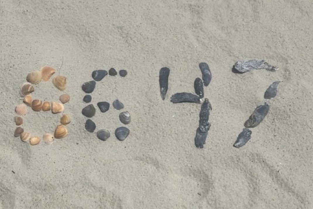 Seashells by the Seashore: James Comey’s Beach Message Blows Up