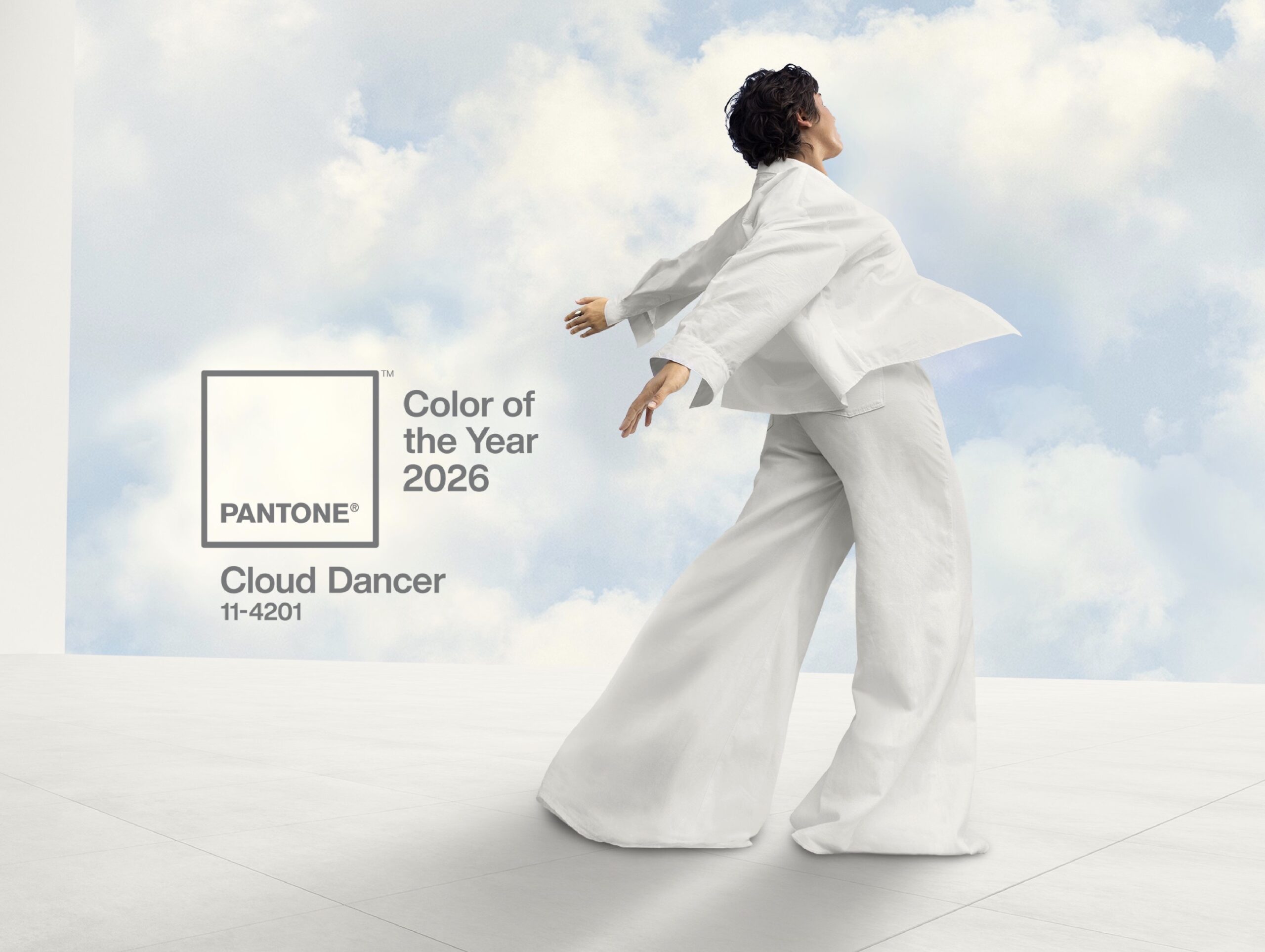 Pantone Picks White as the Color of the Year and the Woke Internet ...