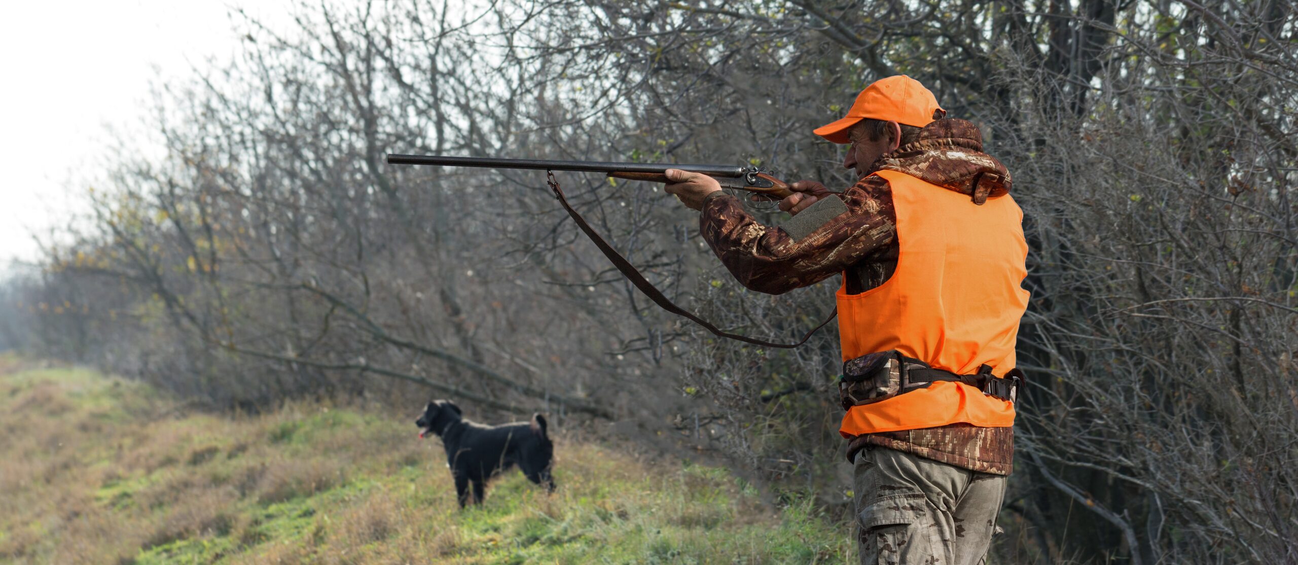Crazies in Oregon Pushing to Ban Hunting and Fishing Under Banner of ...
