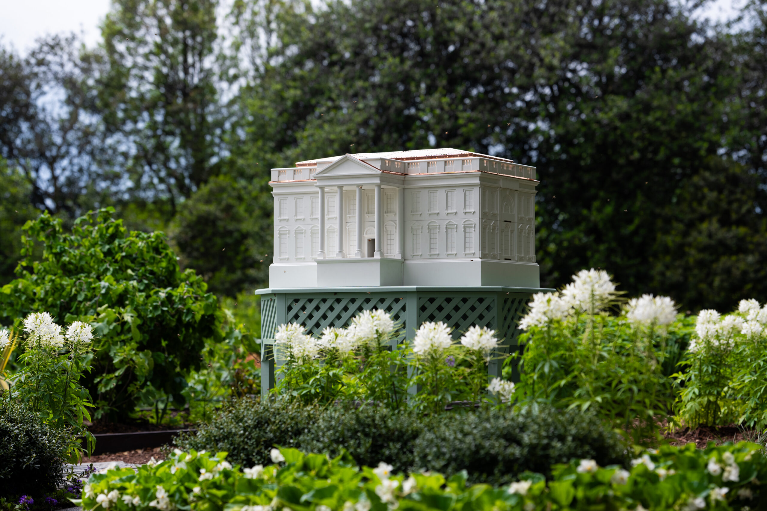 Melania Trump Adds New South Lawn Bee Hive in Shape of White House
